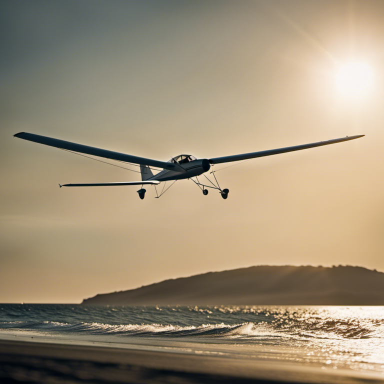 A Comprehensive Guide To Different Types Of Glider Planes - Soaring Skyways