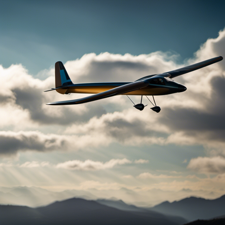 What Makes The Best Wing Design For A Glider - Soaring Skyways