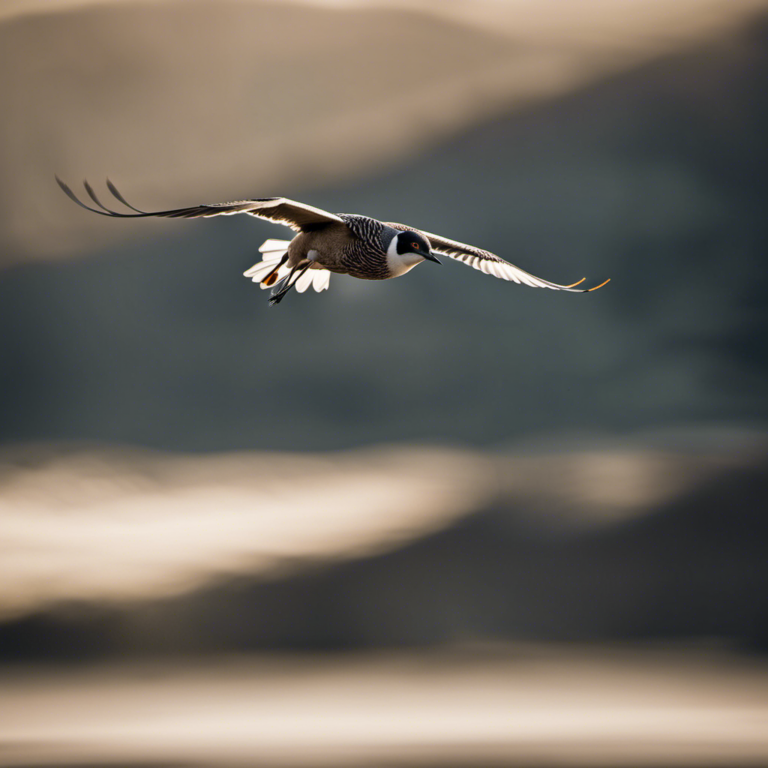 What Powers The Flight Of Soaring Birds.So - Soaring Skyways